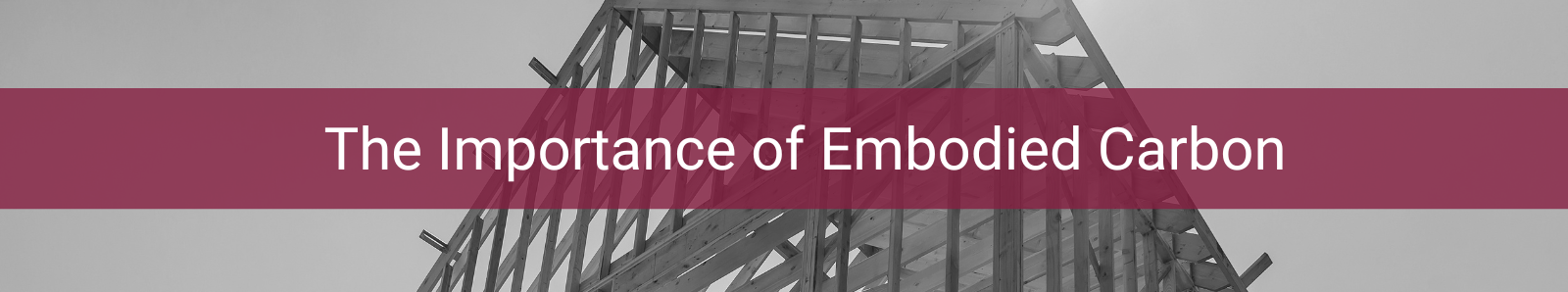 Embodied Carbon in Construction: How Timber Can Lead the Way